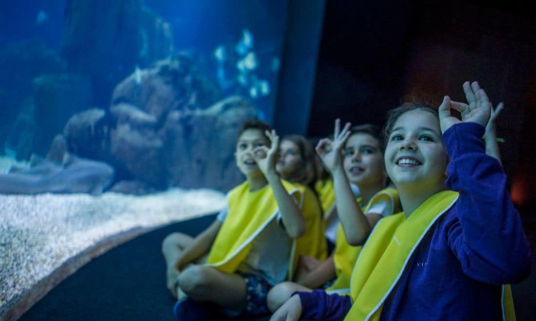 Oceanário de Lisboa - Estrelas & Ouriços