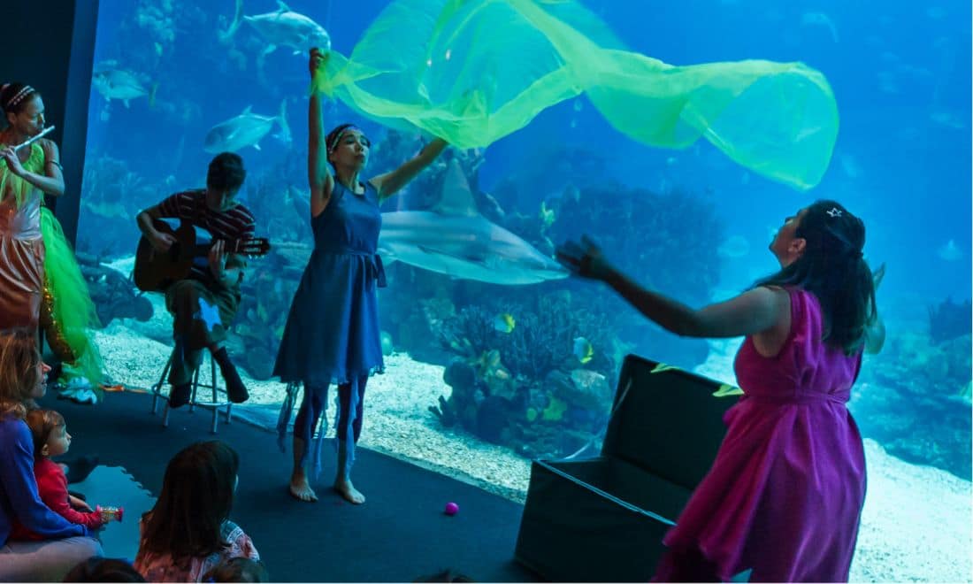 oceanário de lisboaARTIGOS – Site (16) - Estrelas & Ouriços