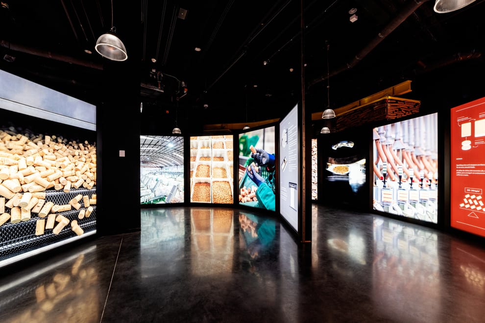 Museus WOW - Estrelas & Ouriços
